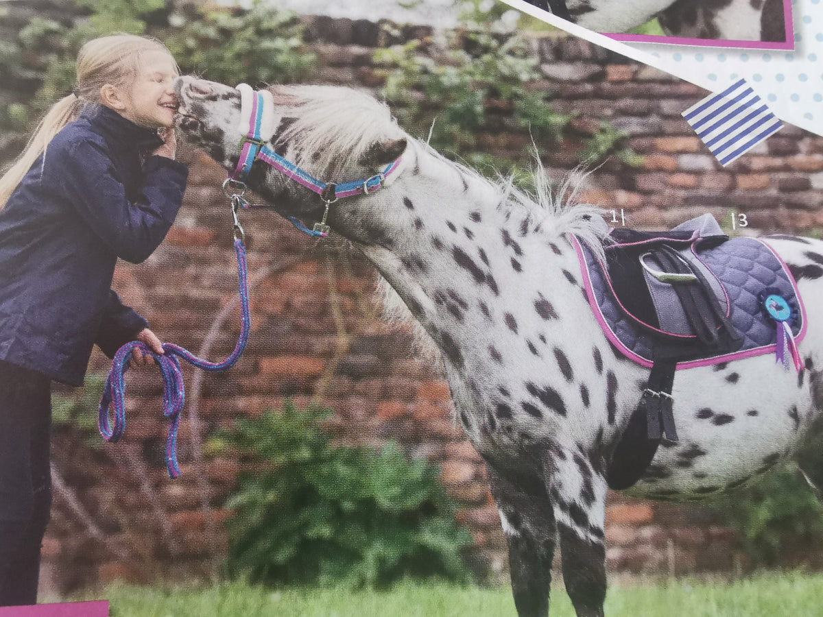 Shetland/Pony Range – Cornish Equestrian & Embroidery